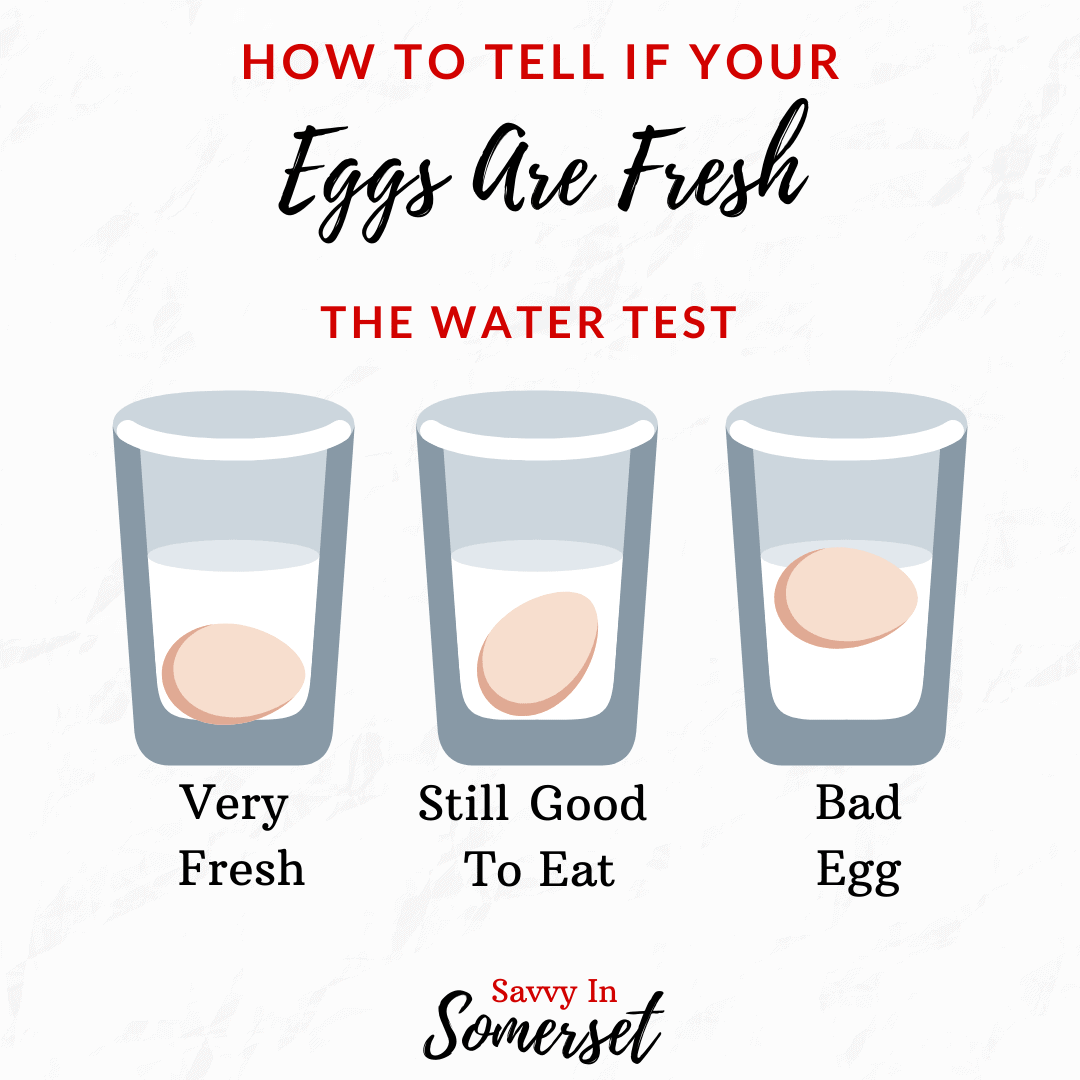 How To Test Eggs For Freshness - Savvy in Somerset